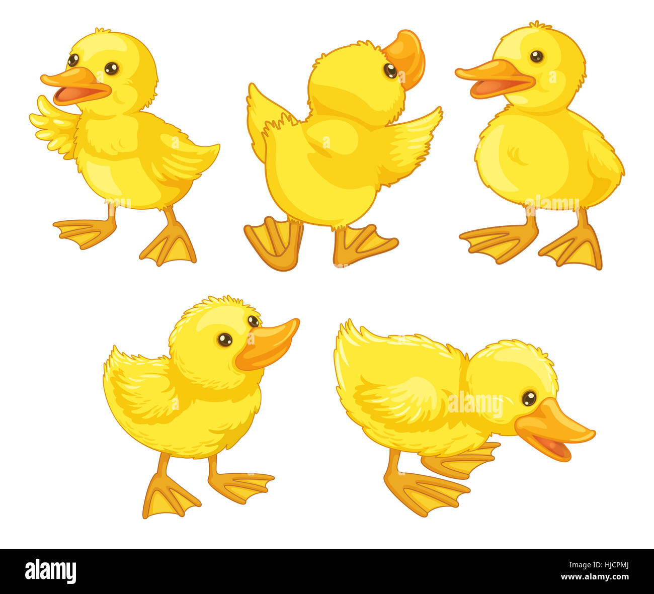 object, art, isolated, animal, bird, five, wing, look, glancing, see ...