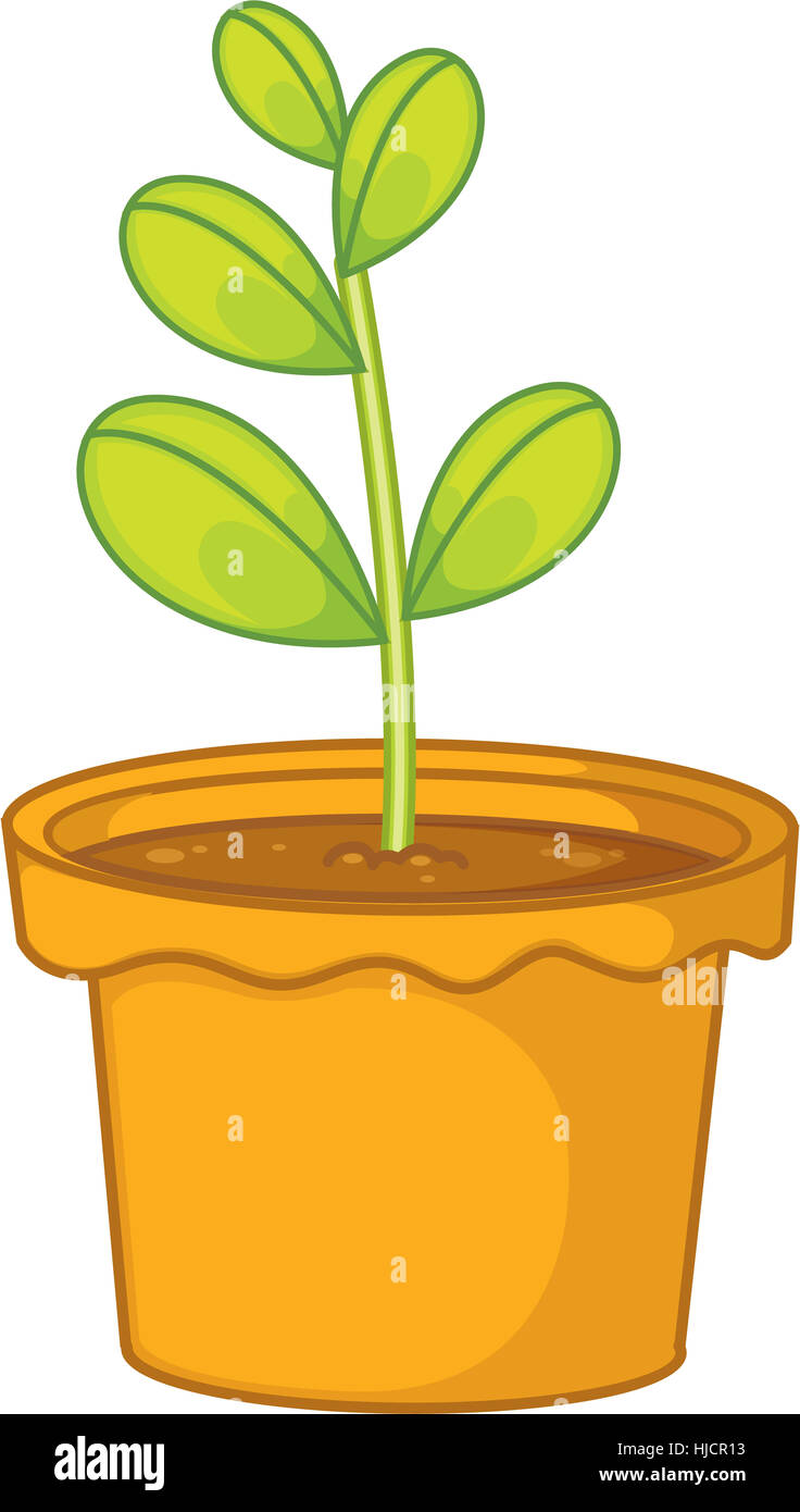 object, single, isolated, colour, closeup, space, graphic, flower ...