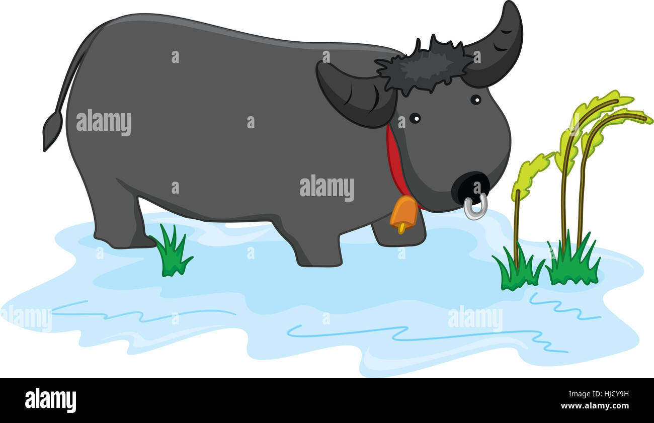 wait, waiting, object, isolated, animal, green, wild, bull, look ...