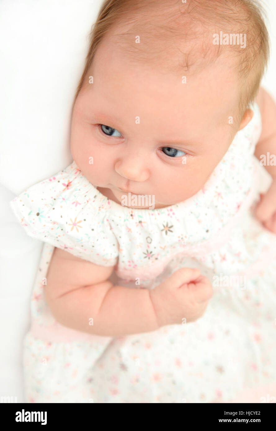 portrait, small, tiny, little, short, baby, dapper, accosting, pretty ...