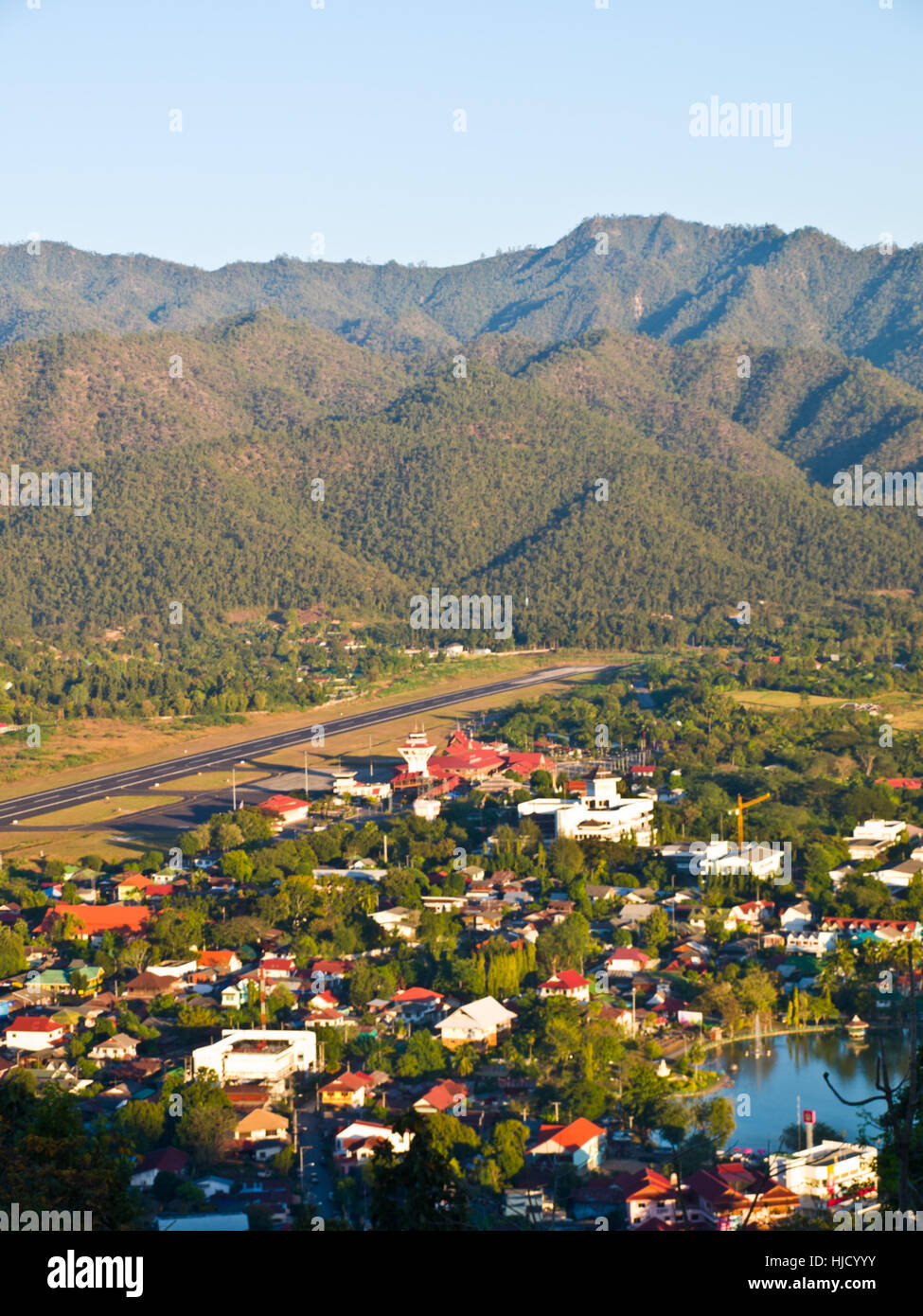 travel, city, town, tree, trees, flight, ground, soil, earth, humus ...