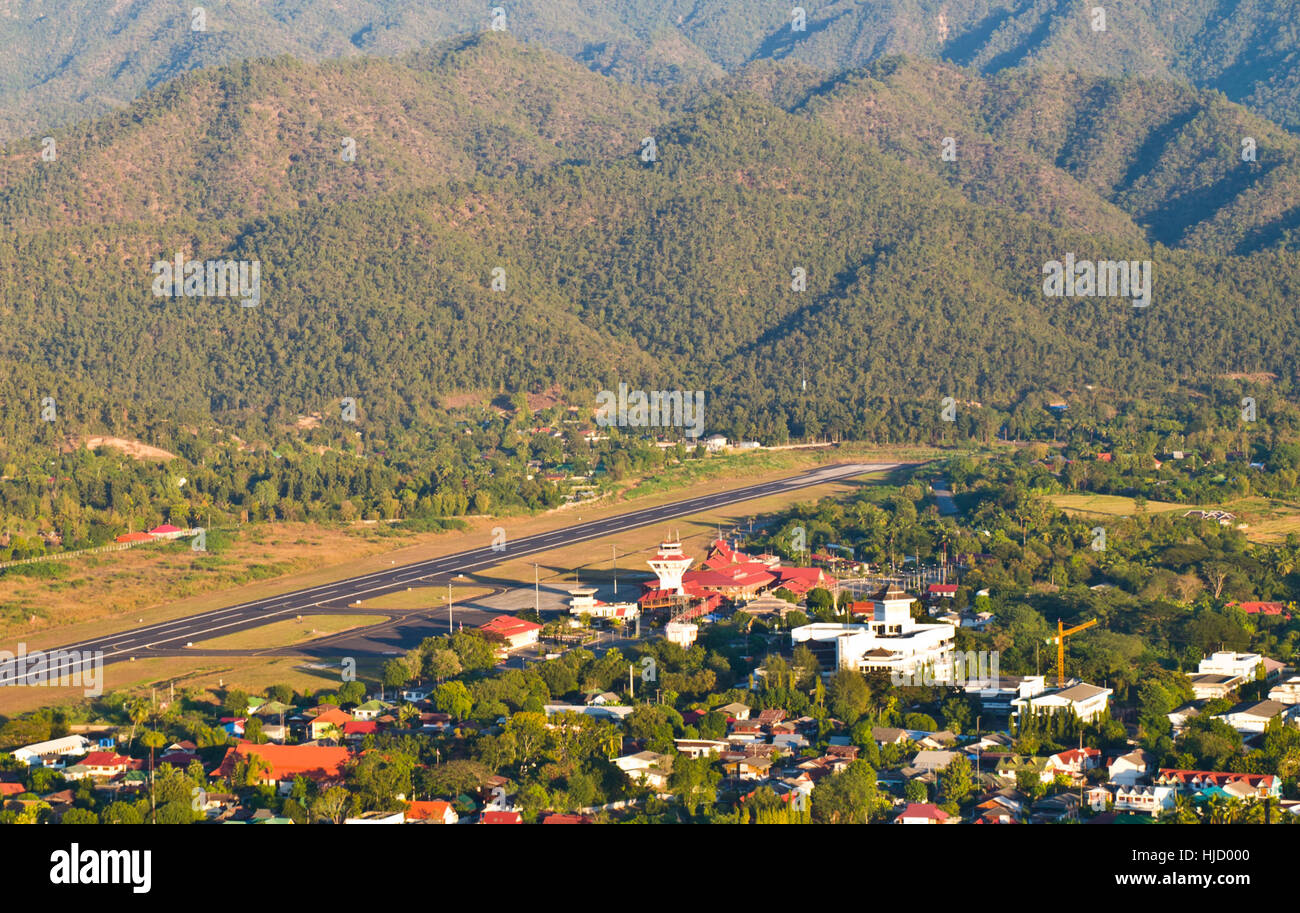 travel, city, town, tree, trees, flight, ground, soil, earth, humus ...