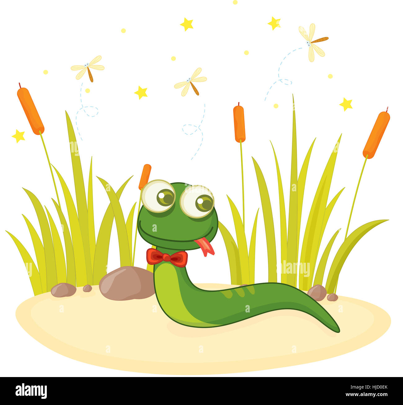 illustration of insect sitting on rock Stock Photo - Alamy