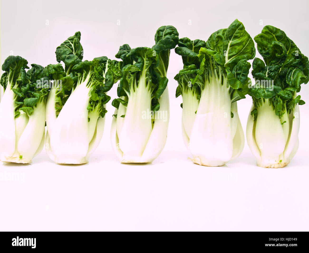 food, aliment, leaf, health, single, isolated, leaves, agriculture ...