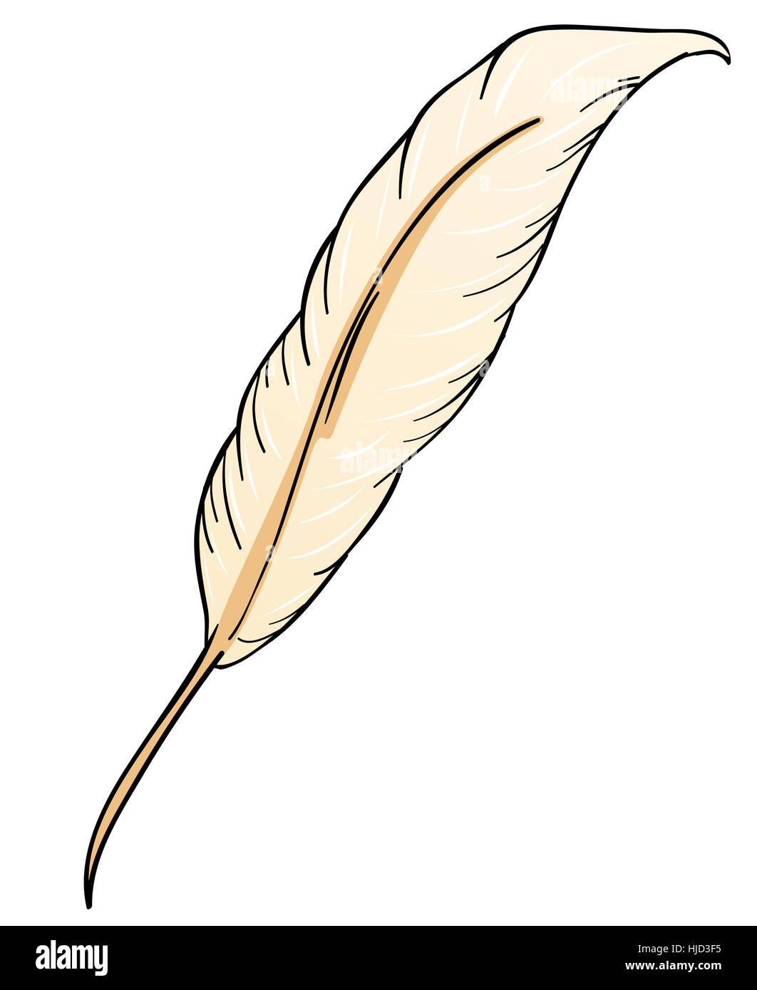 object, single, isolated, graphic, animal, bird, birds, soft ...