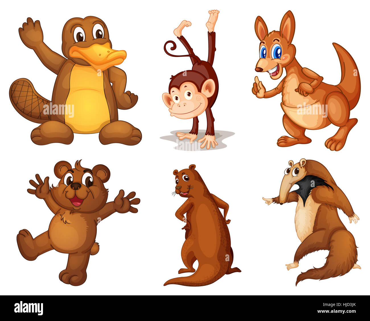 Smiling Wallaby High Resolution Stock Photography and Images - Alamy