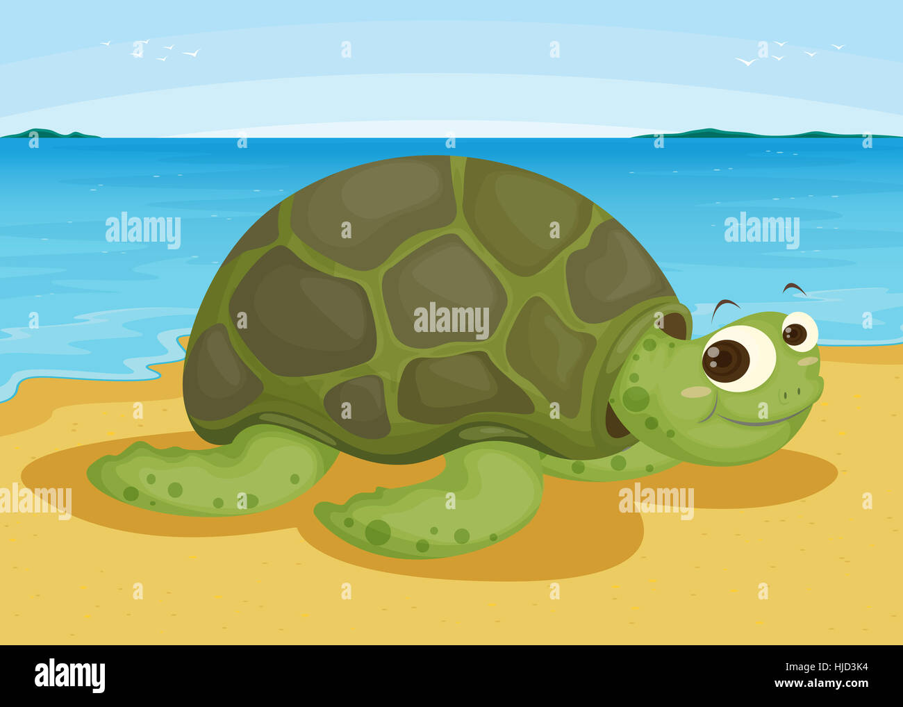 Flying turtle cartoon illustration hi-res stock photography and images ...