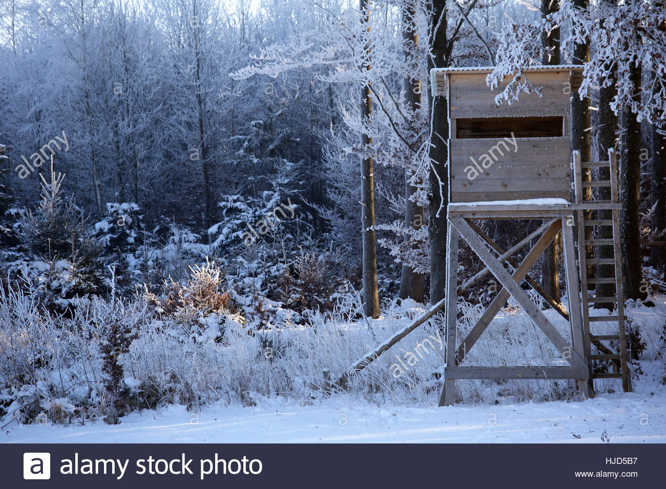 Hunters hideout hi-res stock photography and images - Alamy