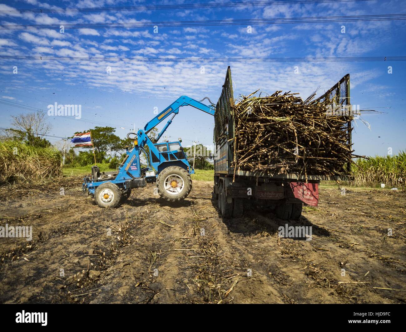 Truck loaded sugar cane in hi-res stock photography and images - Alamy