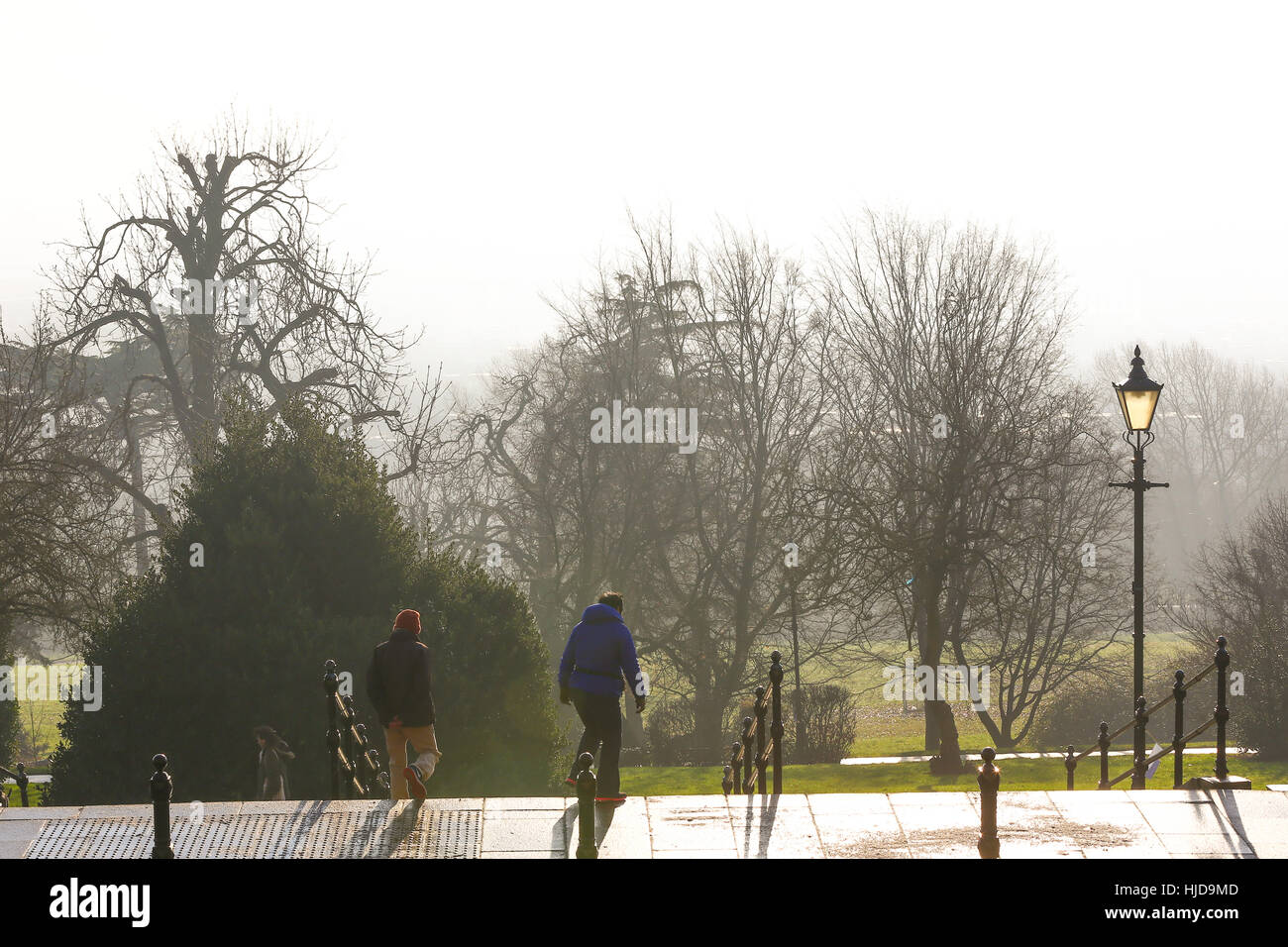 Alexandra Palace, North London, UK. 24th Jan, 2017. UK Weather. View of ...
