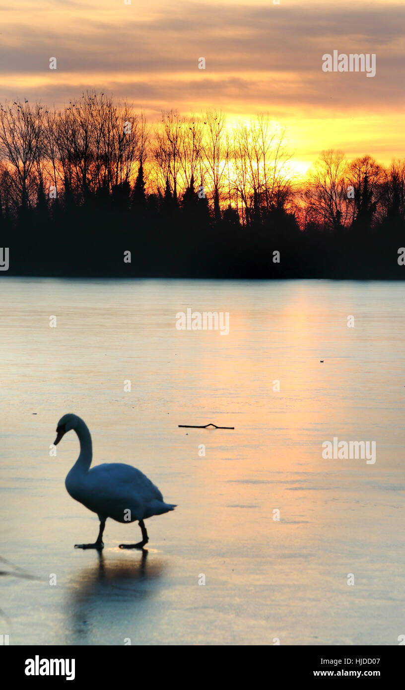 The sun sets behind priory park hi-res stock photography and images - Alamy