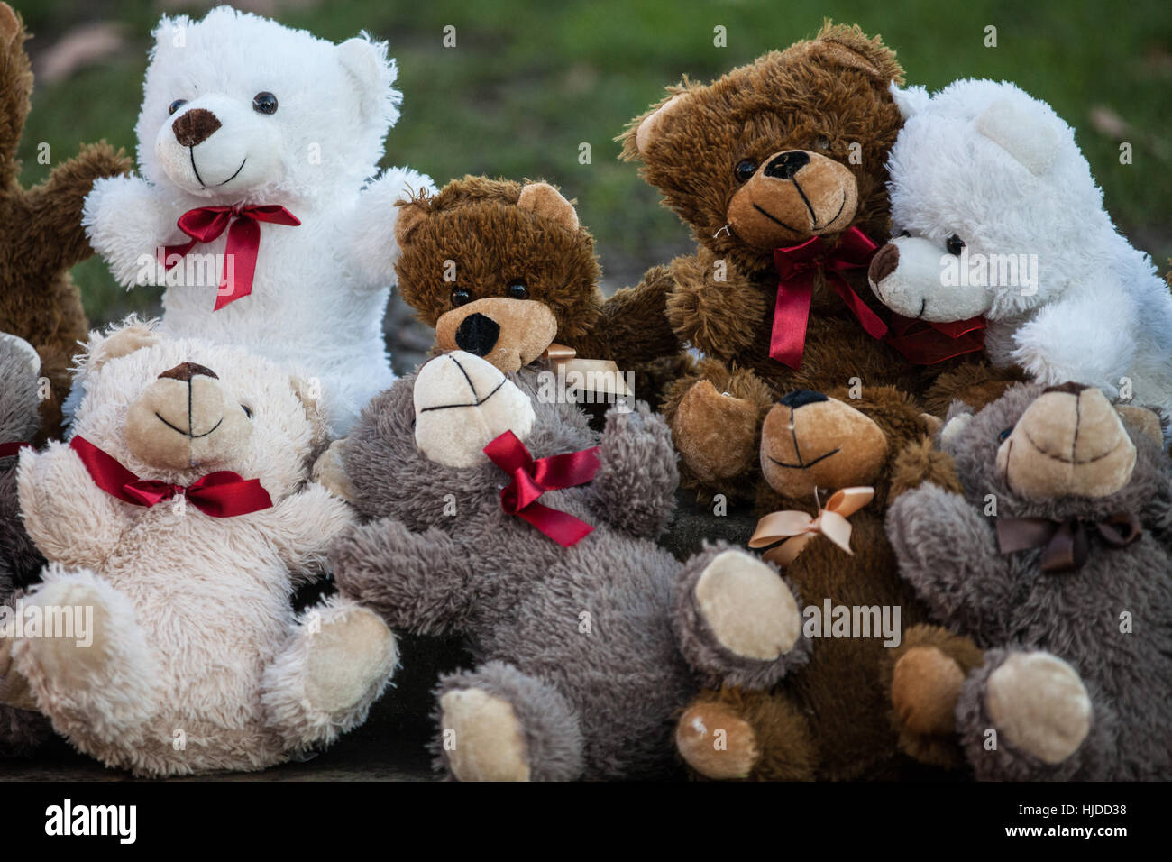 Why Are Teddy Bears Dangerous at Orville Turner blog