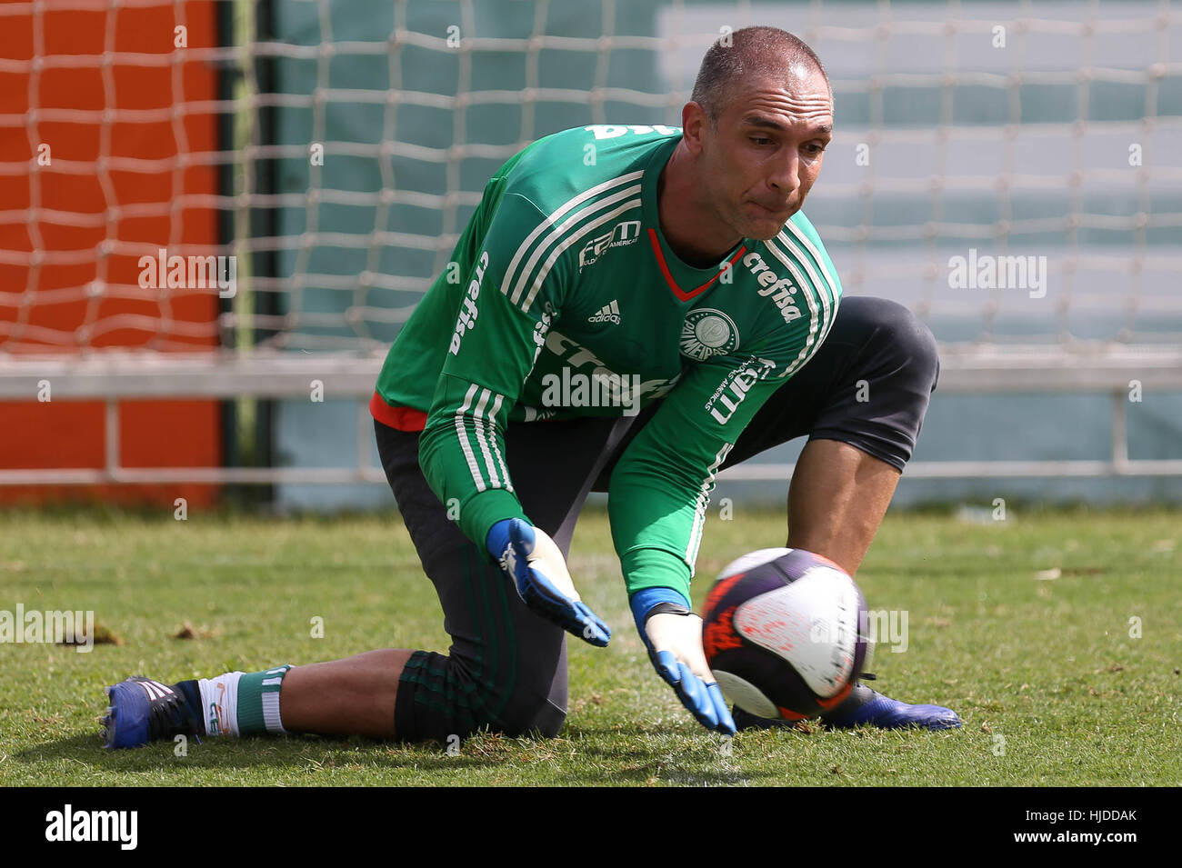 Sao Paulo, Brazil. 24th, Jan, 2017. The goalkeeper Fernando Prass, SE ...