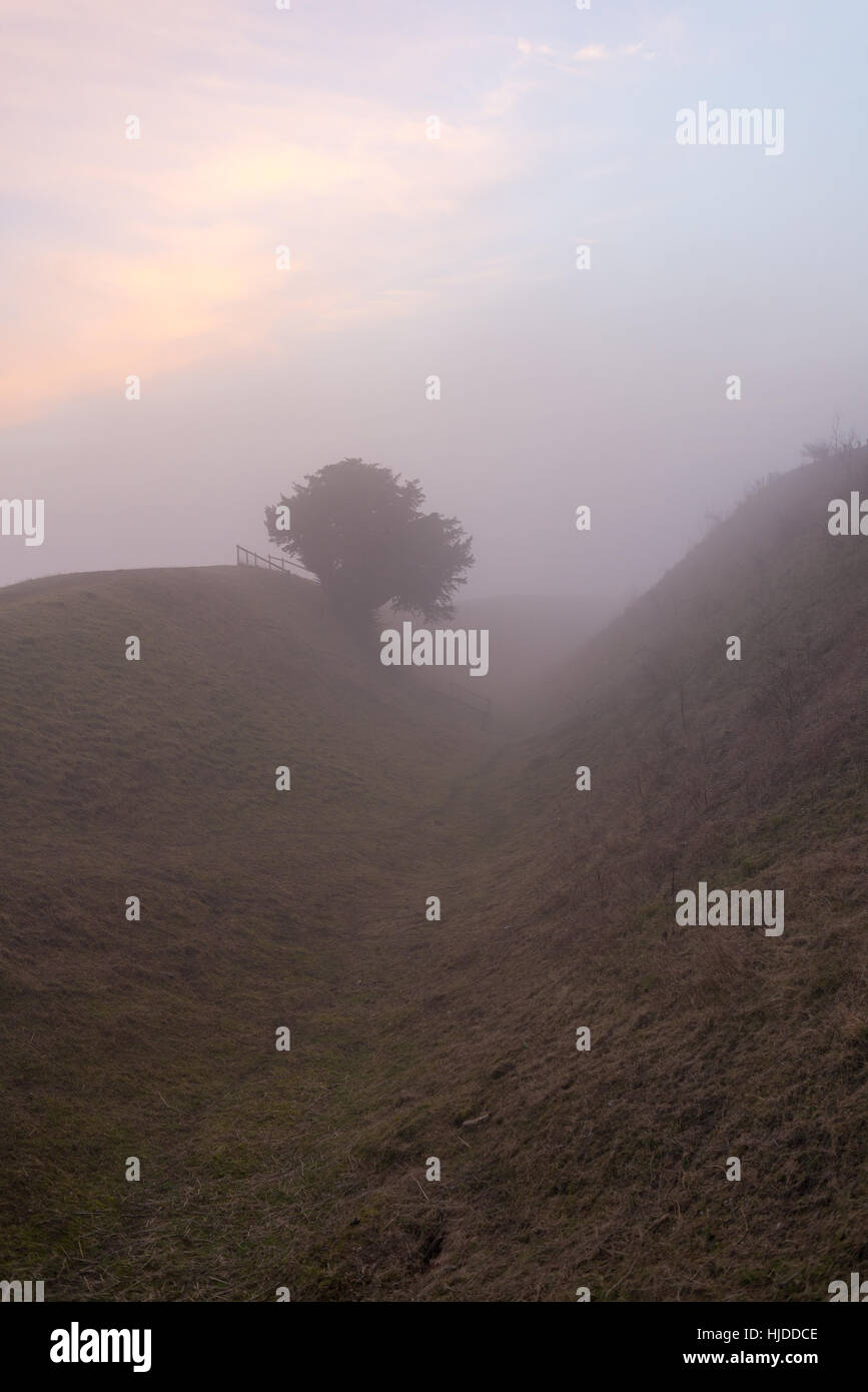Winter mist and fog forming around a line of trees at historical site ...