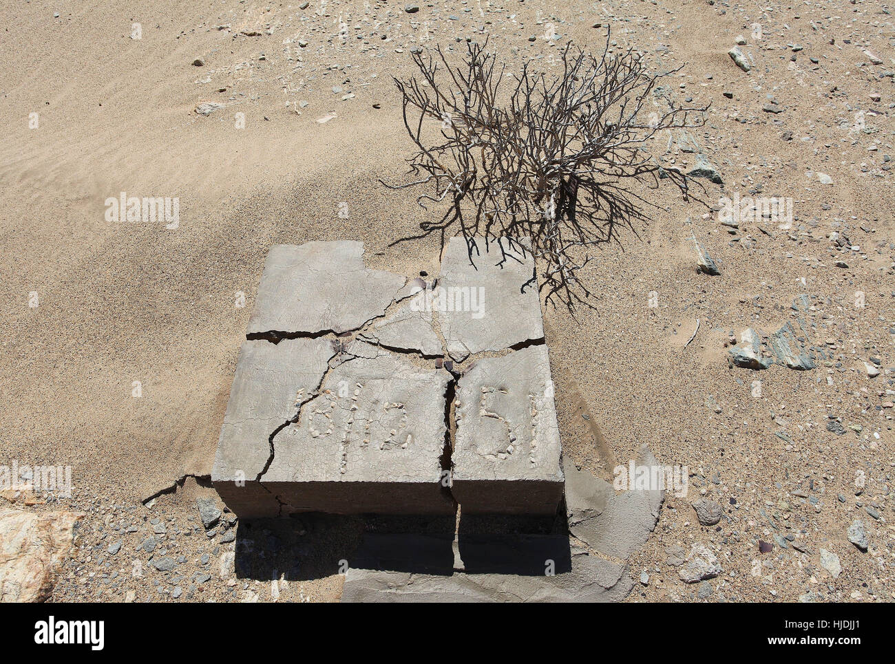 Date stone at Kolmanskop Stock Photo - Alamy