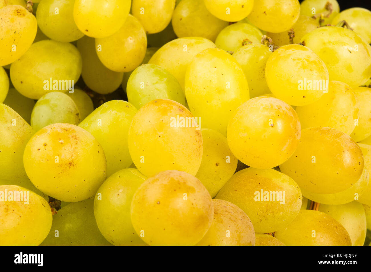 Large grapes cluster amber color on black background Stock Photo - Alamy
