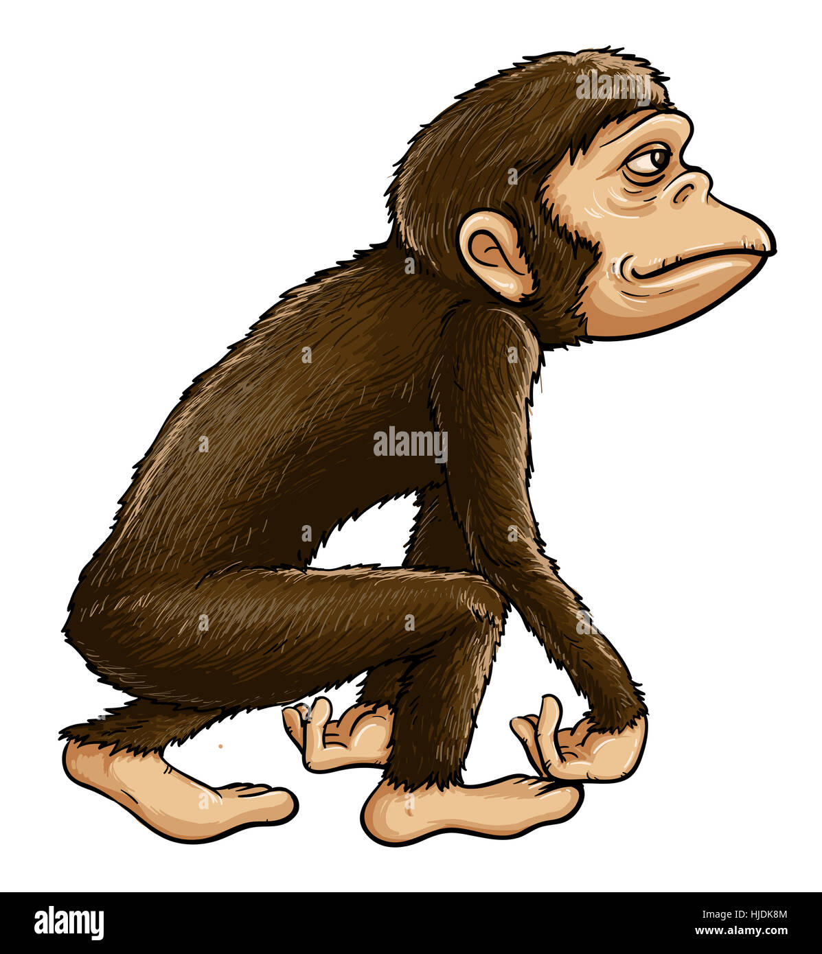 isolated, graphic, animal, scrabble, crawling, mammal, monkey, small ...
