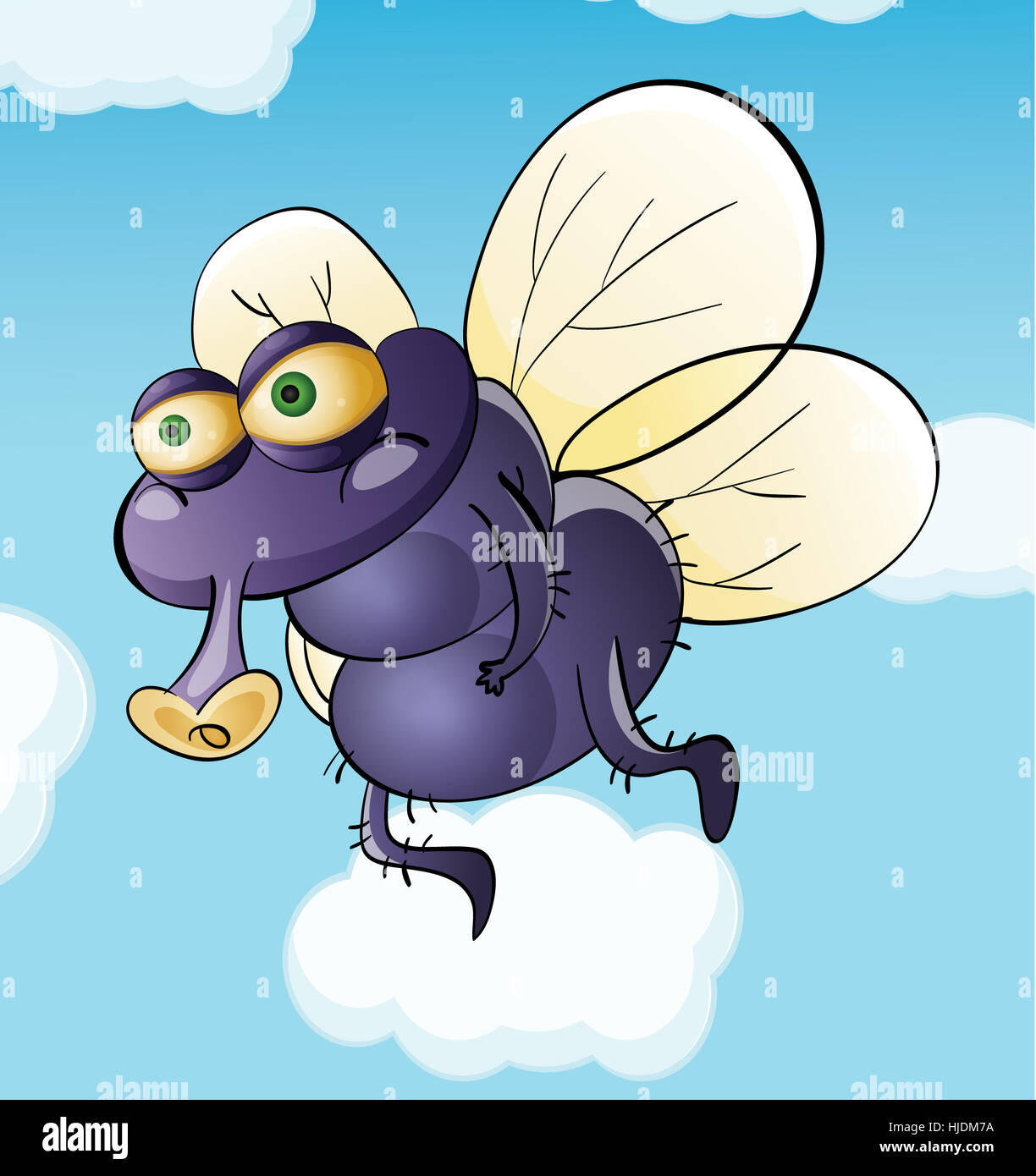 flight, animal, insect, cloud, hairy, dirt, creature, disgusting, dirty ...