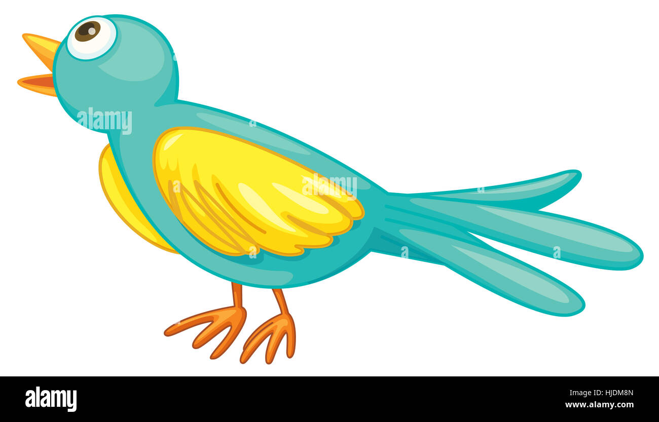 object, single, isolated, colour, animal, bird, green, small, tiny ...