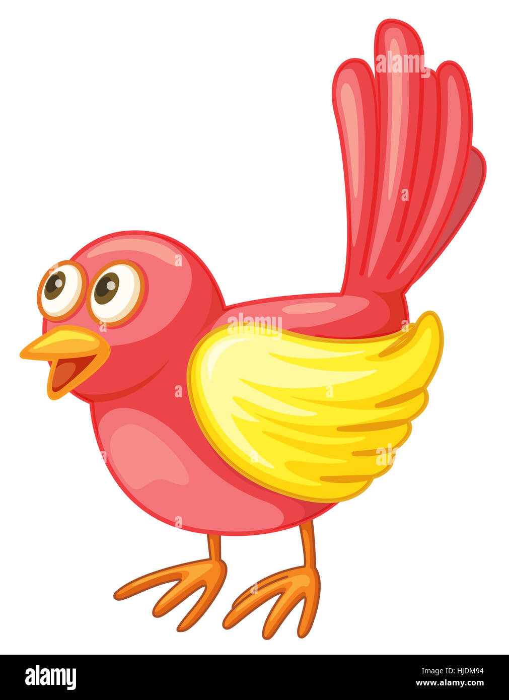 object, single, isolated, colour, animal, bird, small, tiny, little ...