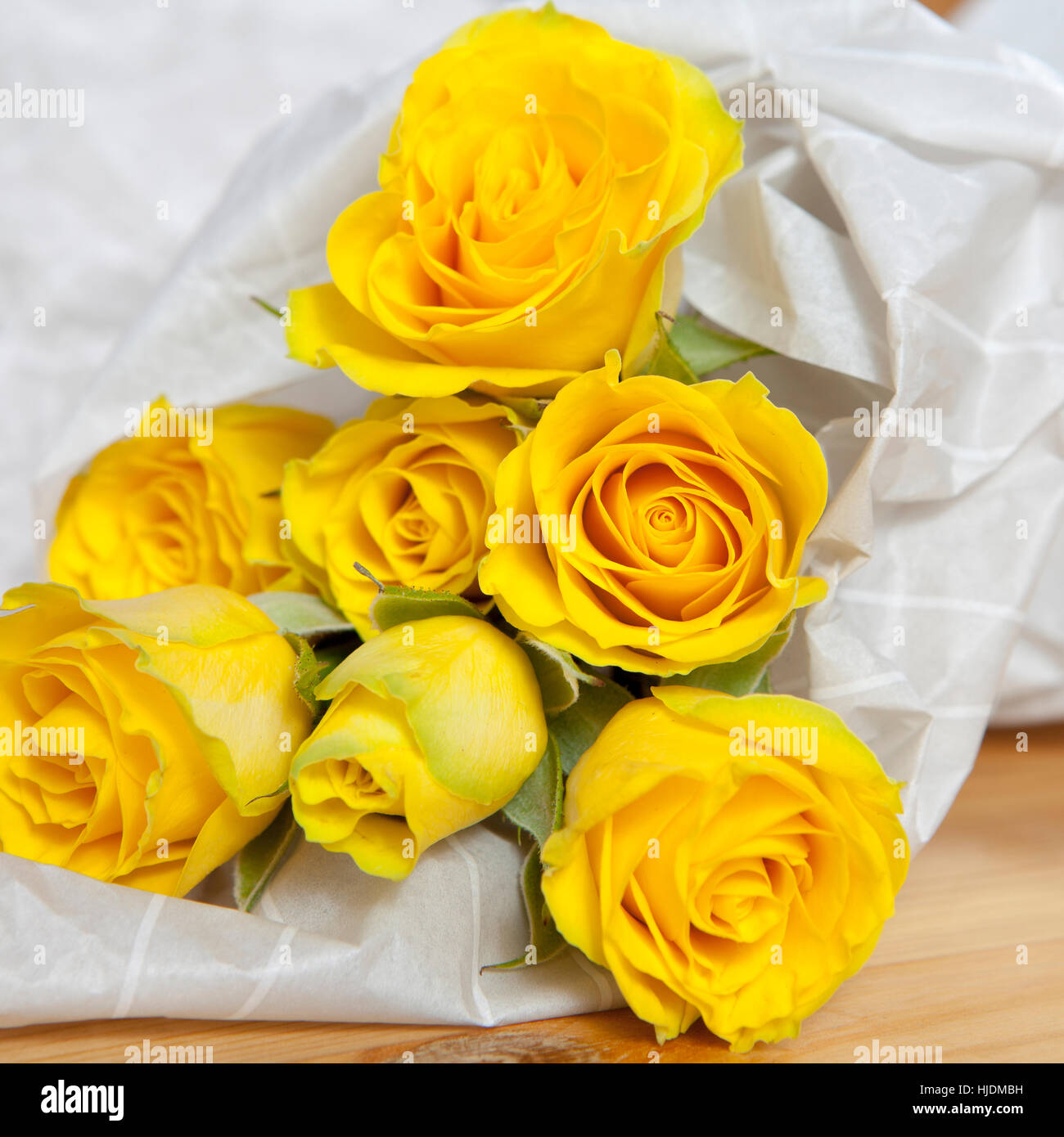 bunch of yellow roses in florist wrapping on white background Stock ...