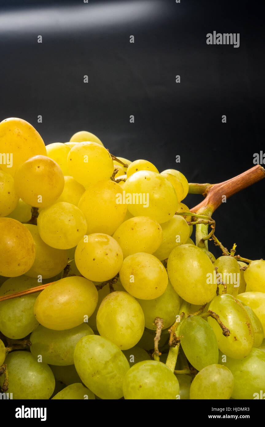 Large grapes cluster amber color on black background Stock Photo - Alamy