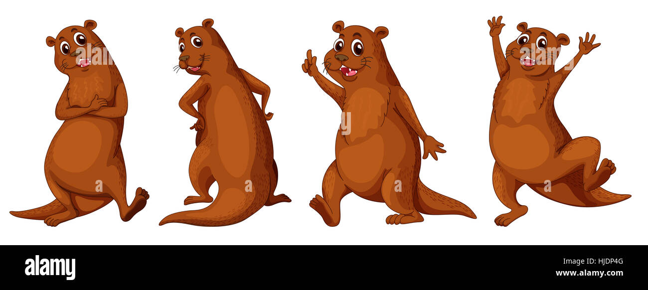 Moving Animal Animations