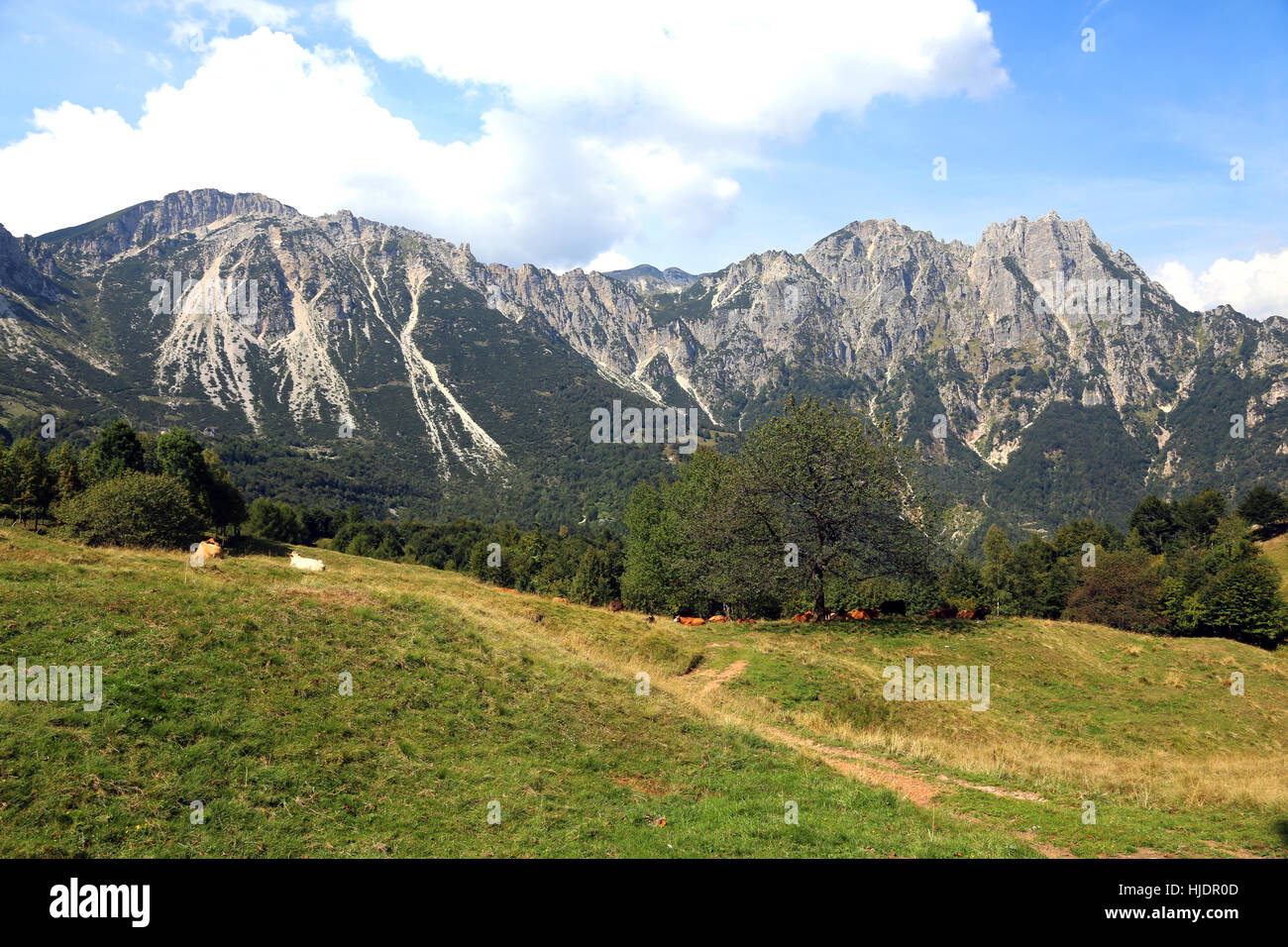 Valdagno hi-res stock photography and images - Alamy
