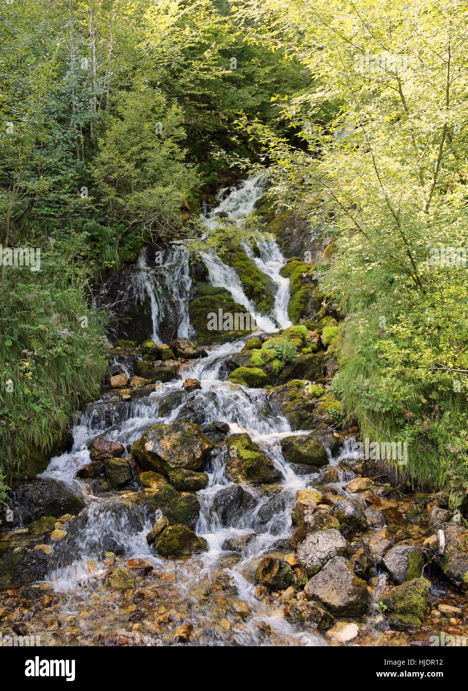 Pure spring water source hi-res stock photography and images - Alamy