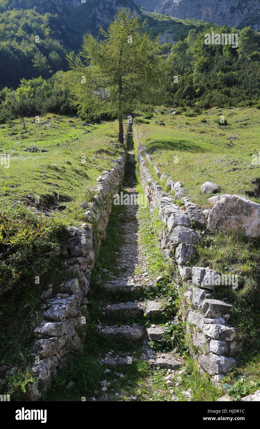 Ancient trenches first world war hi-res stock photography and images ...