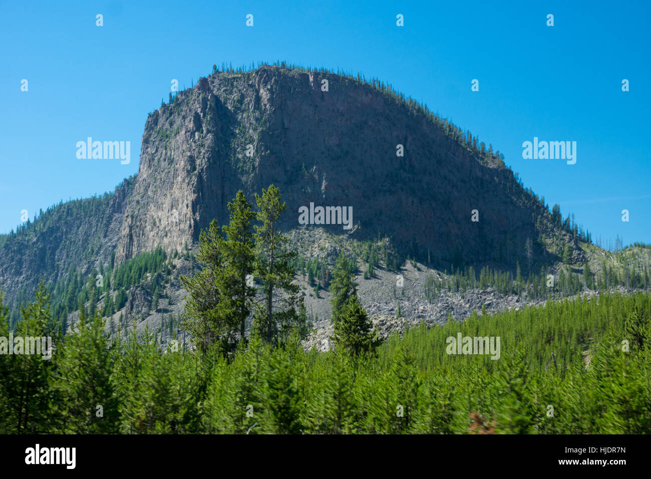 Madison Drive, Yellowstone National Park, Wyoming, USA Stock Photo - Alamy