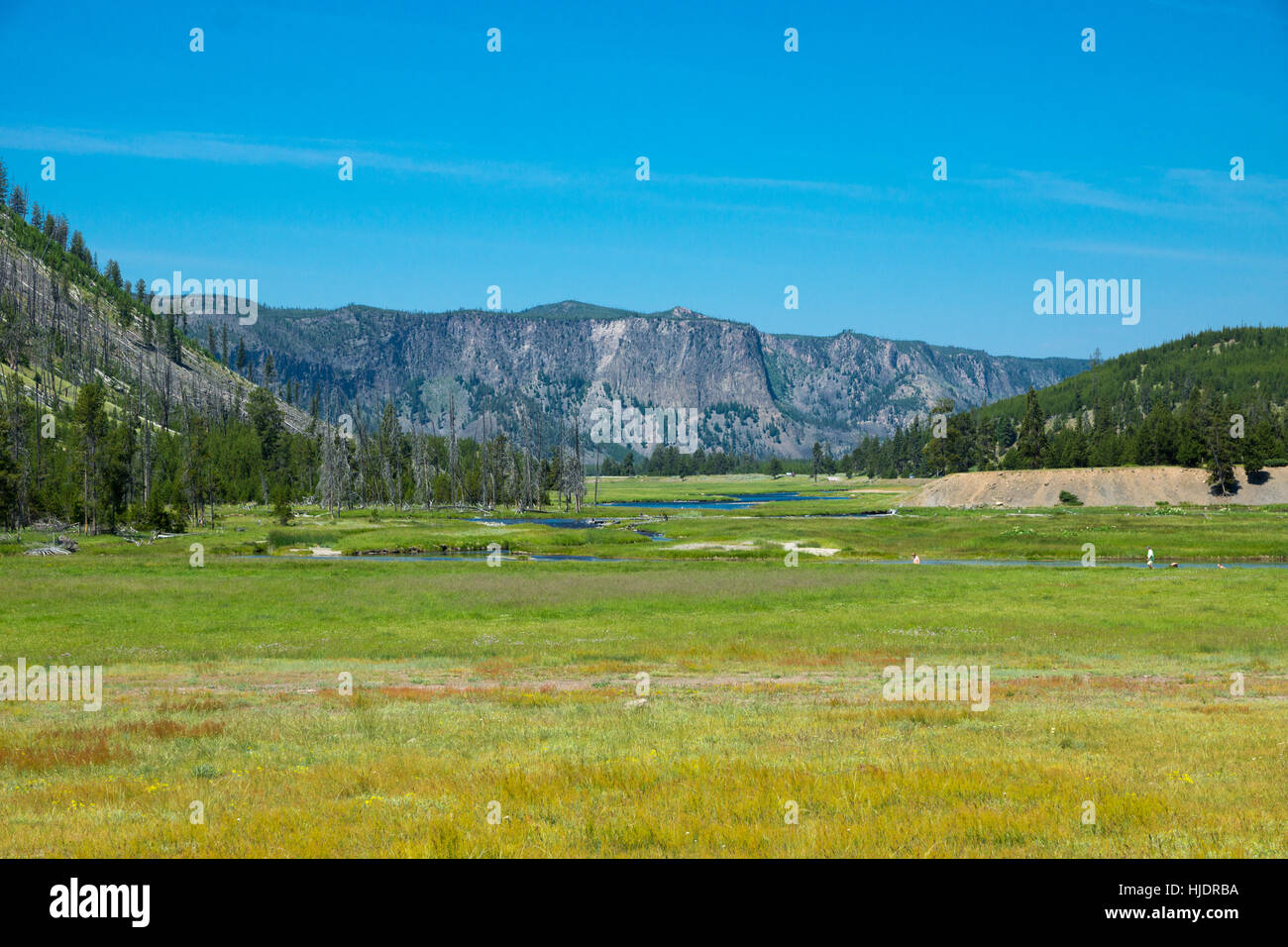 Madison Junction, Yellowstone National Park, Wyoming, USA Stock Photo ...