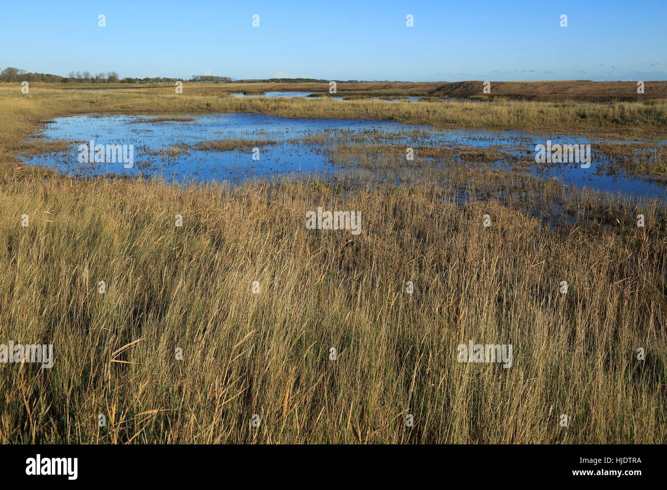 Pools of water behind shingle beach of River Ore, Orford Ness spit ...