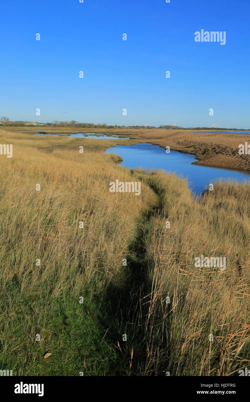 Pools of water behind shingle beach of River Ore, Orford Ness spit to ...