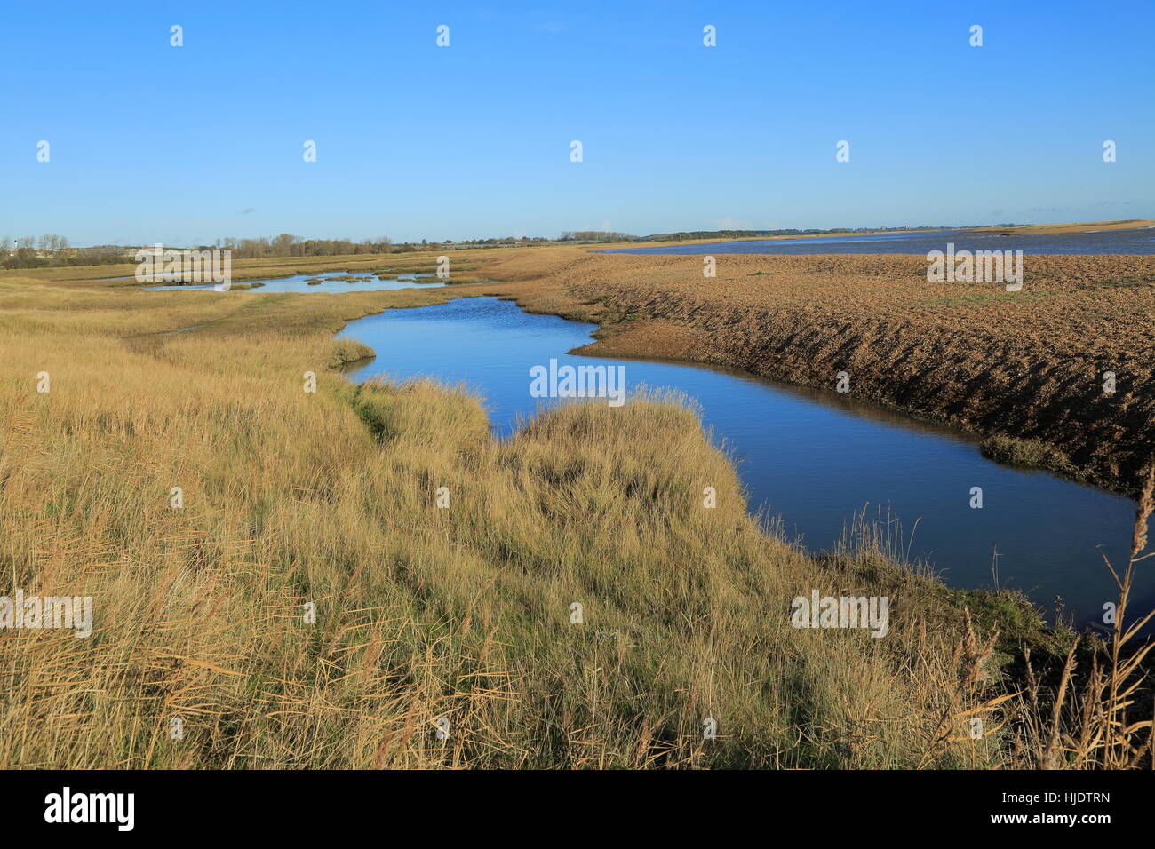 Pools of water behind shingle beach of River Ore, Orford Ness spit to ...