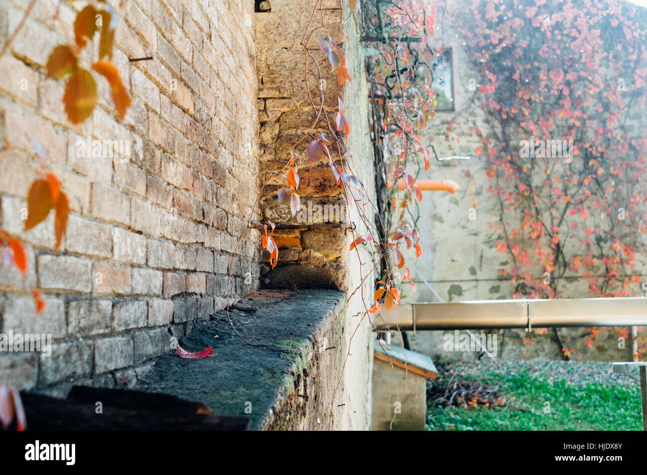 Garden corner hi-res stock photography and images - Alamy