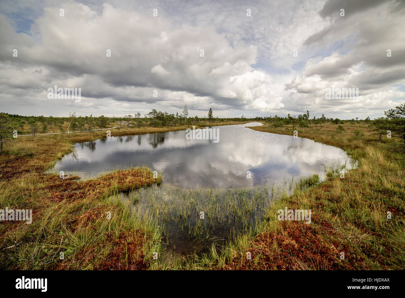 swamp view with lakes and footpath Stock Photo - Alamy