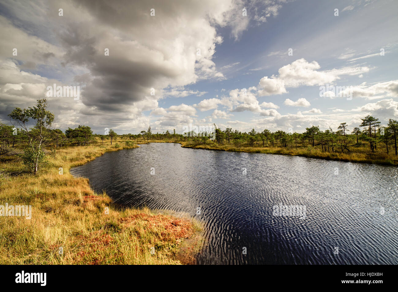 swamp view with lakes and footpath Stock Photo - Alamy