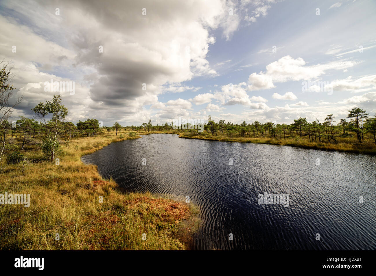 swamp view with lakes and footpath Stock Photo - Alamy