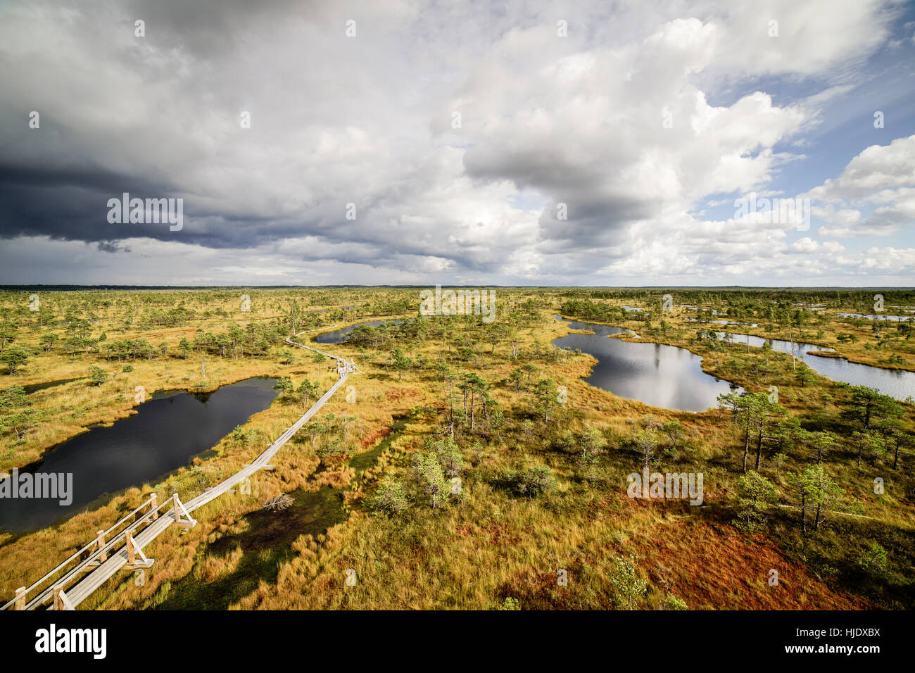 swamp view with lakes and footpath Stock Photo - Alamy