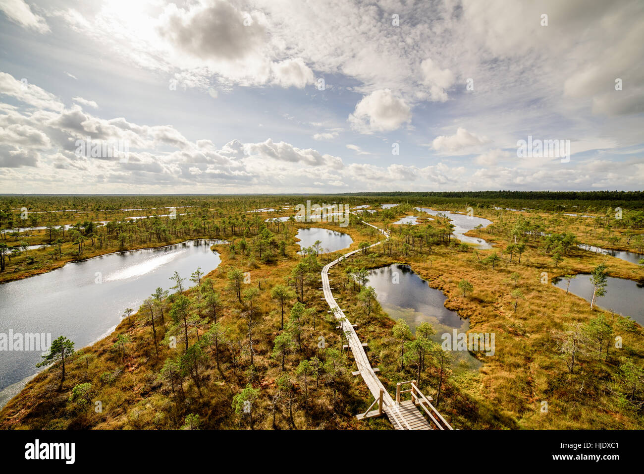 swamp view with lakes and footpath Stock Photo - Alamy