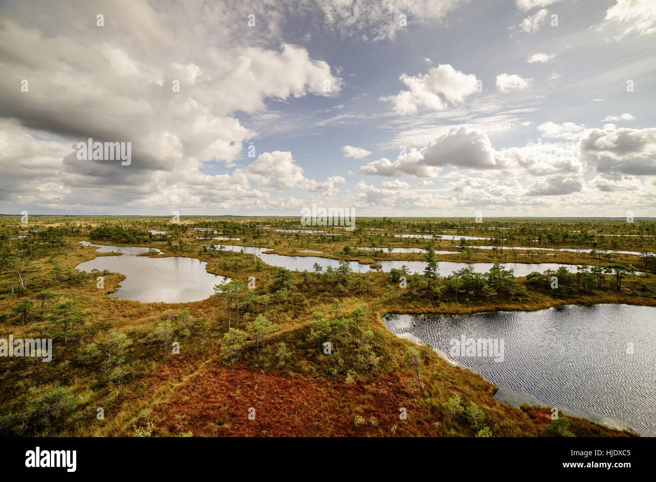 swamp view with lakes and footpath Stock Photo - Alamy