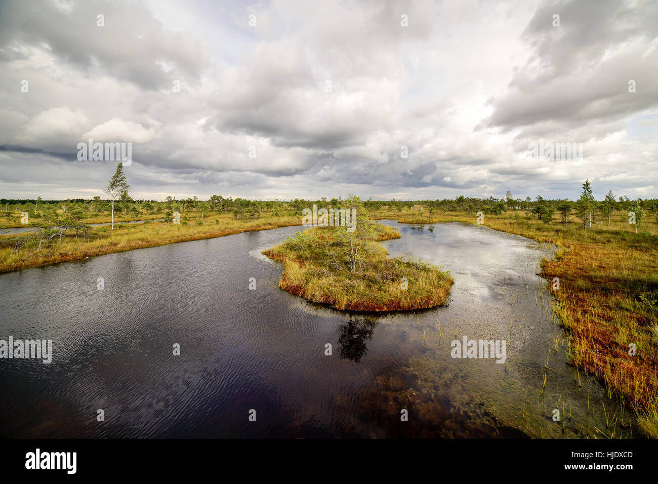 swamp view with lakes and footpath Stock Photo - Alamy