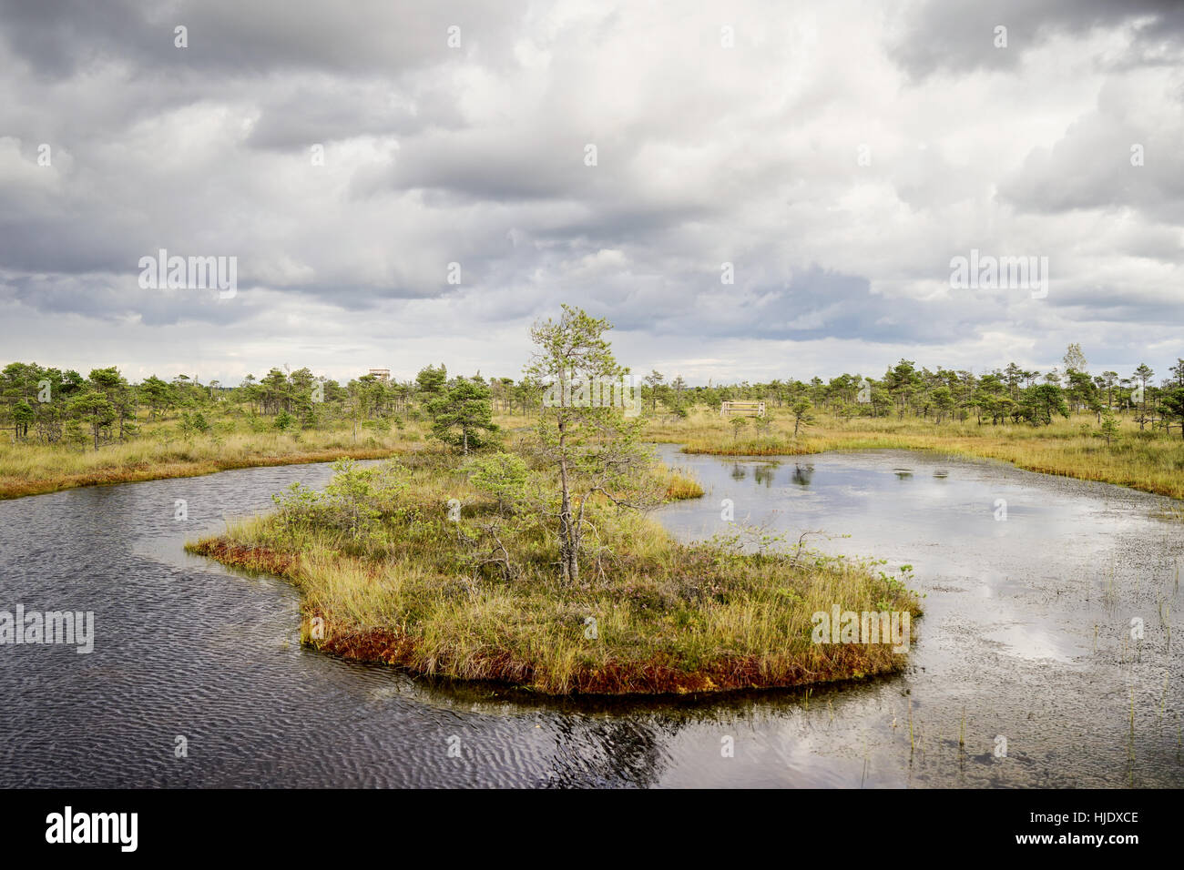 swamp view with lakes and footpath Stock Photo - Alamy