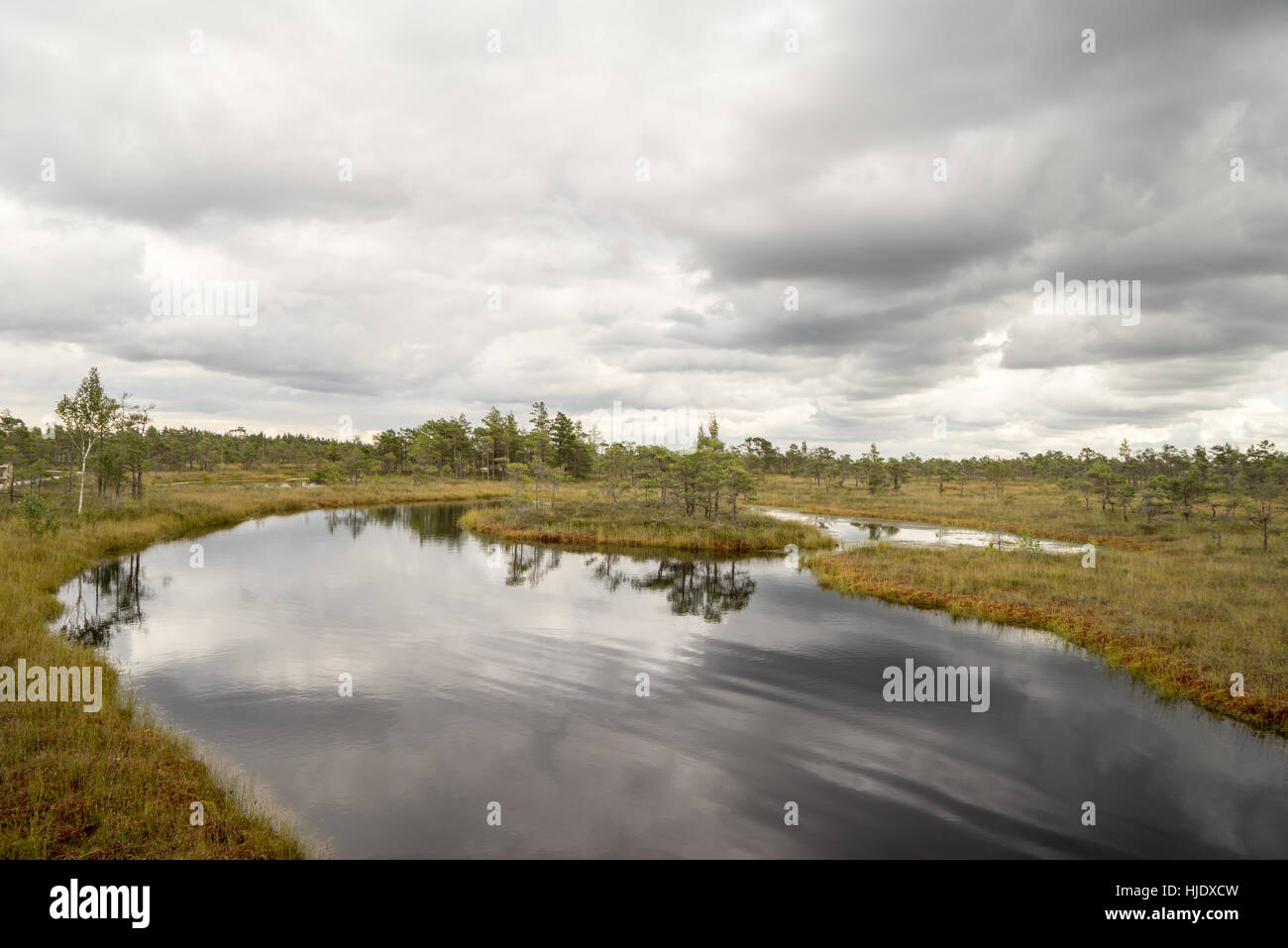 swamp view with lakes and footpath Stock Photo - Alamy