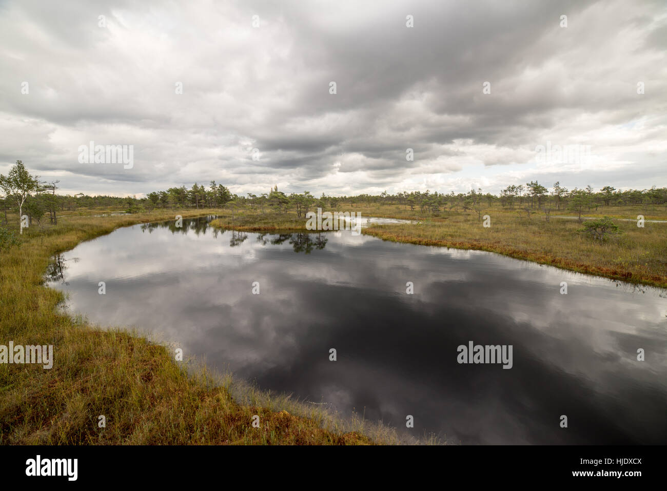 swamp view with lakes and footpath Stock Photo - Alamy