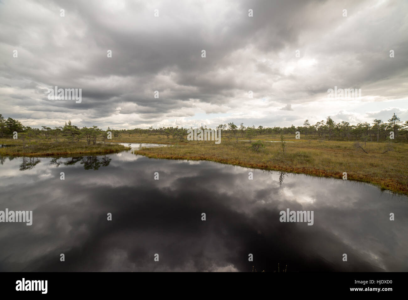 swamp view with lakes and footpath Stock Photo - Alamy
