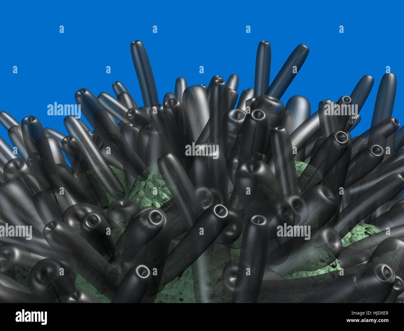 Microbe, bacteria, parasite, pathogen, cell . 3d rendering Stock Photo ...