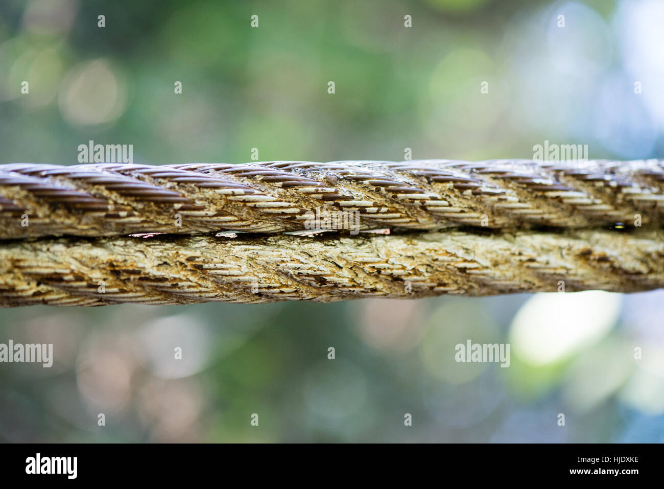 Rusty painted steel cable, bad condition. close up Stock Photo - Alamy