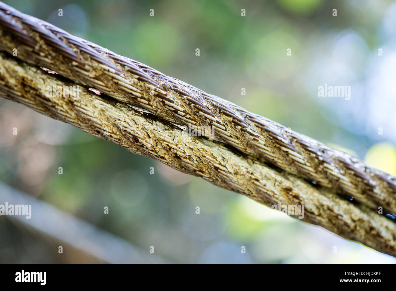 Rusty painted steel cable, bad condition. close up Stock Photo - Alamy